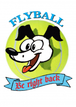 Be Right Back in a Flash | British Flyball Association